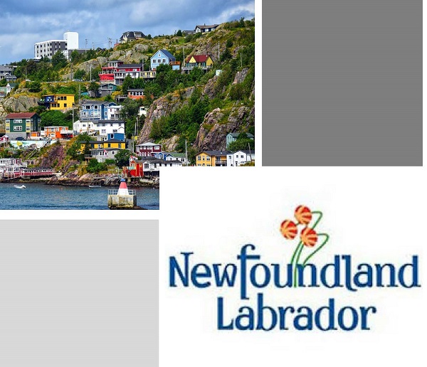 Newfoundland and Labrador New PNP:Priority Skills. January, 2021 ...